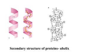 Structural level of organization of proteins | PPTX