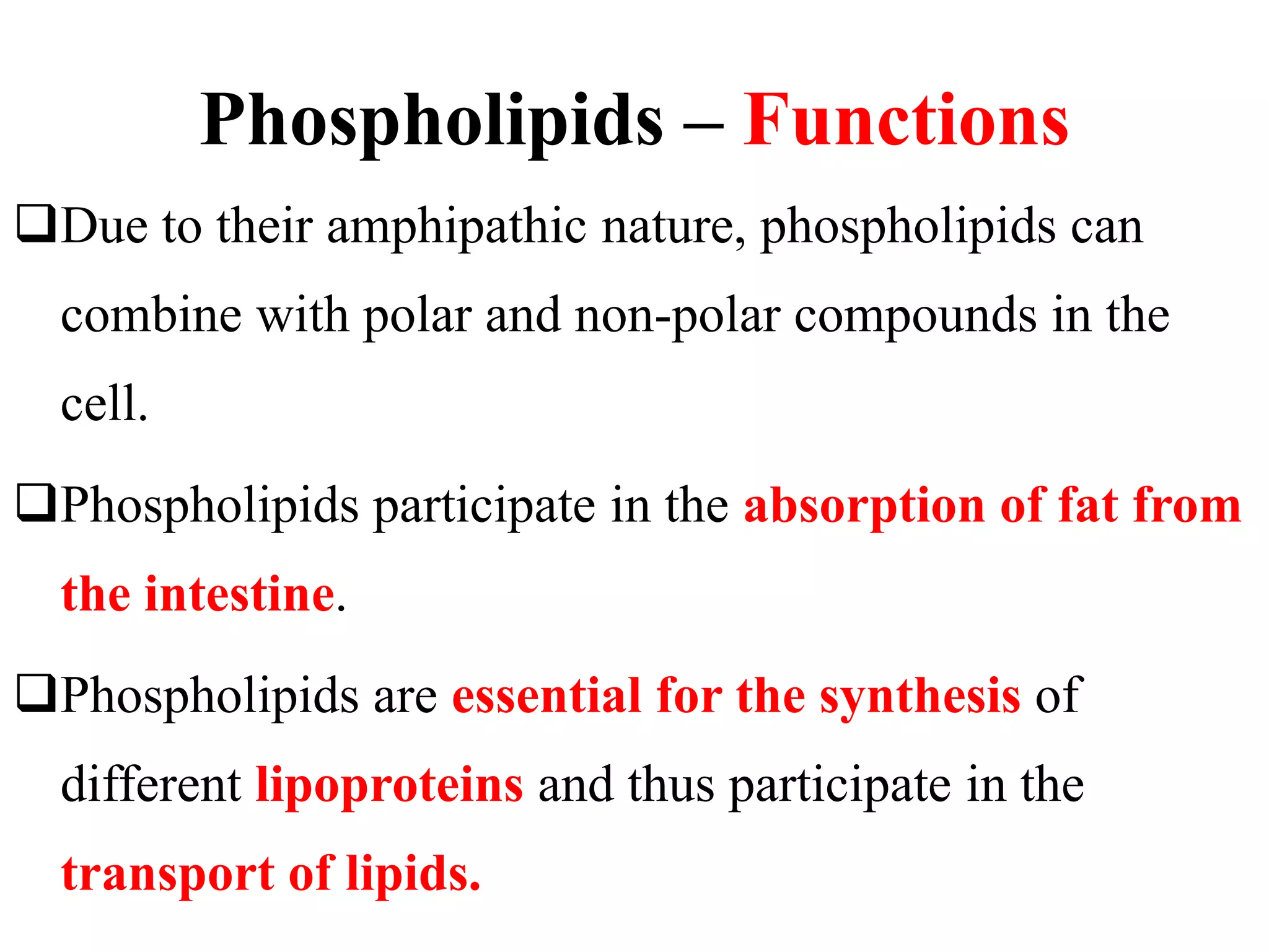 Structural Lipids.pptx Structural Lipids.pptx