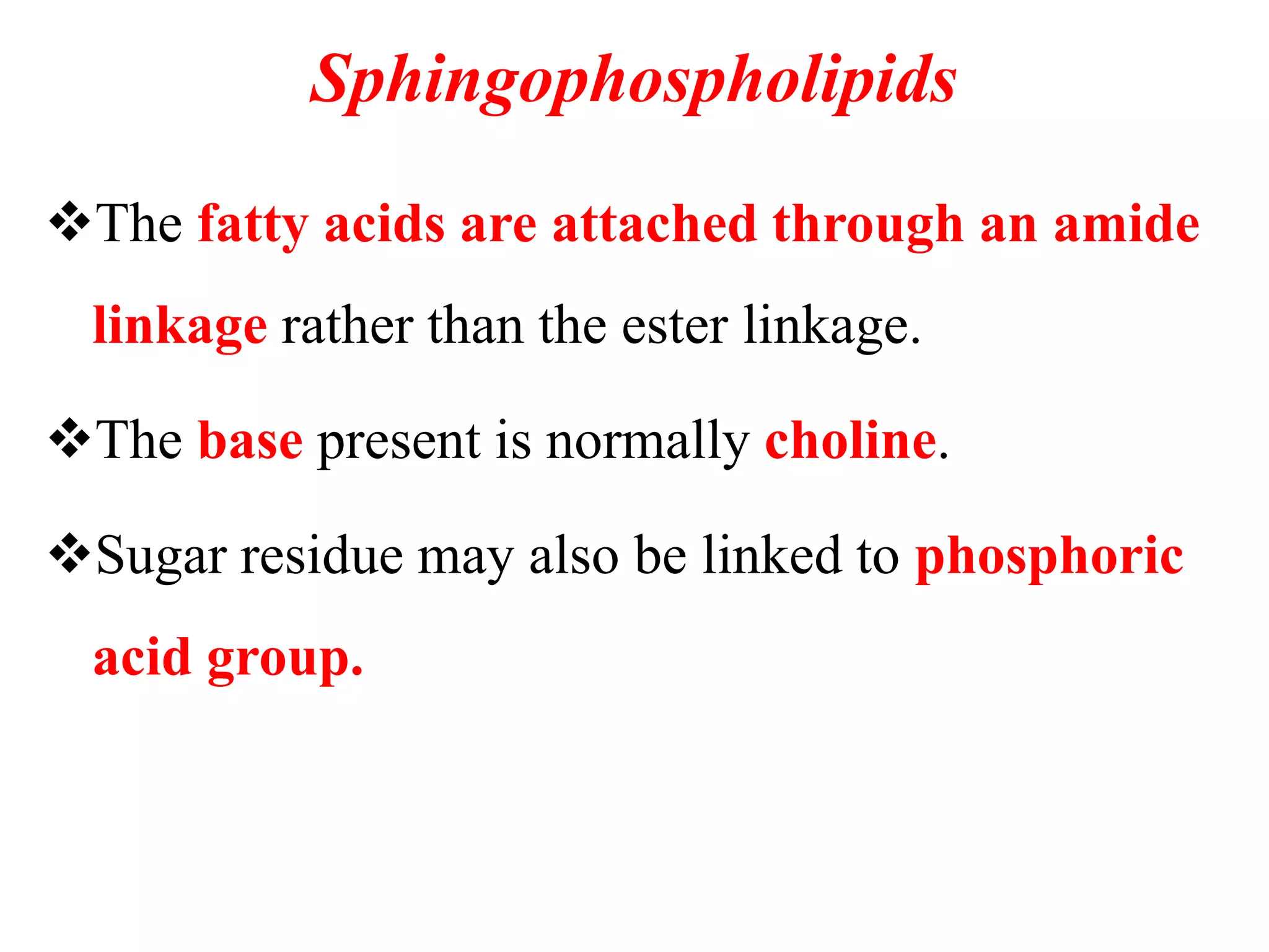 Structural Lipids.pptx