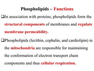 Structural Lipids.pptx