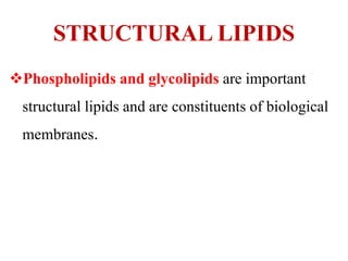 Structural Lipids.pptx