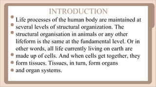 STRUCTURAL ORGANISATION.pdf by manoj dk, | PDF