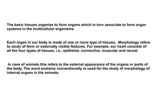 STRUCTURAL ORGANISATION IN ANIMALS.pptx