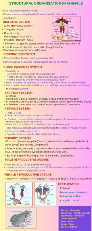 STRUCTURAL ORGANISATION IN ANIMALS.pdf. chart | PDF