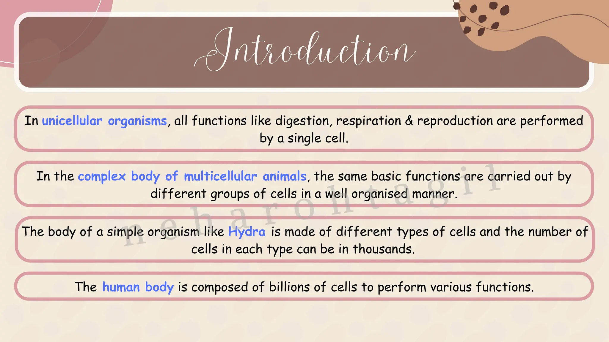 Structural Organisation In Animals CBSE CLASS - 11th NEET BIOLOGY.pdf