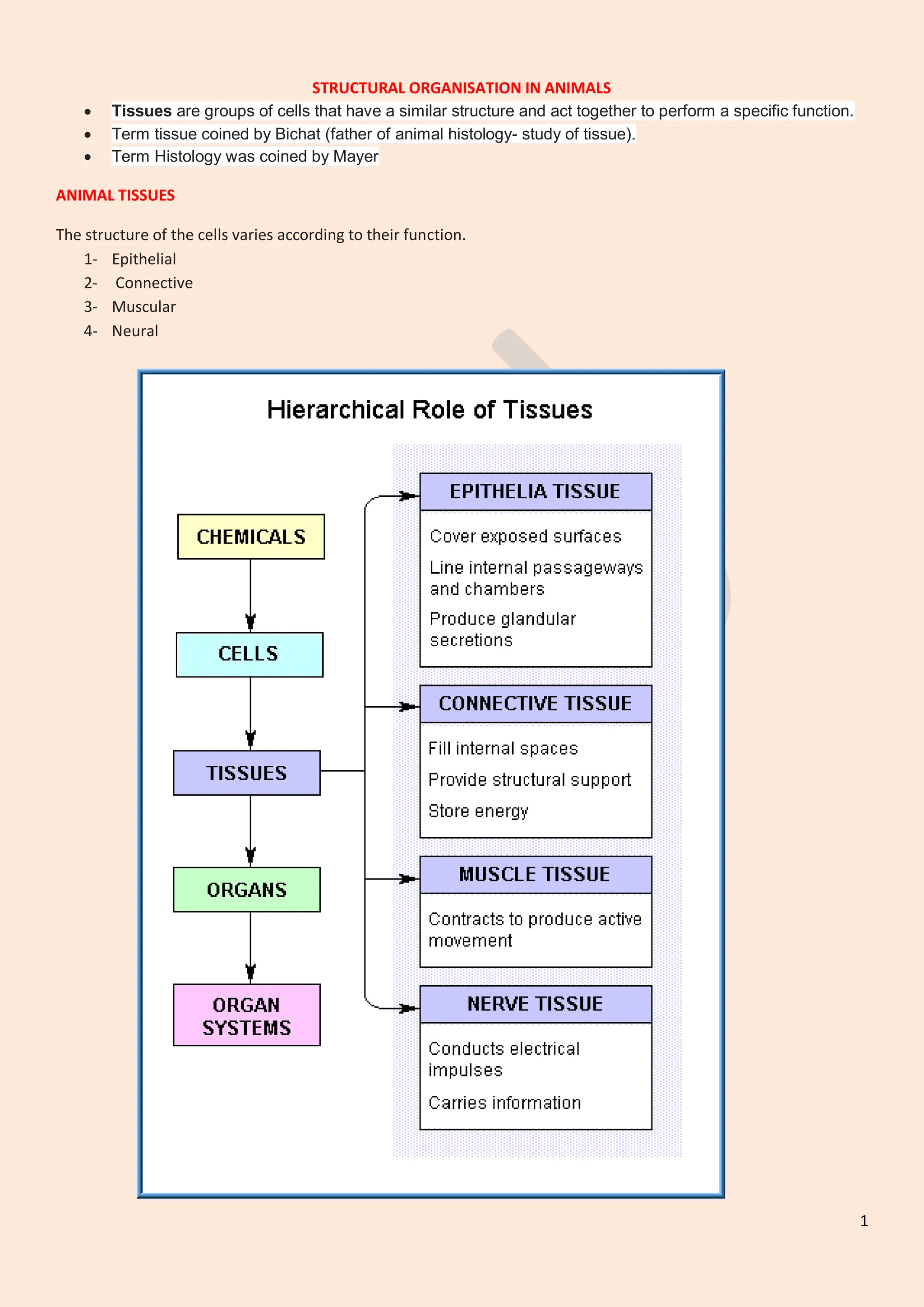 STRUCTURAL ORGANISATION IN ANIMALS TISSUE NOTES.pdf