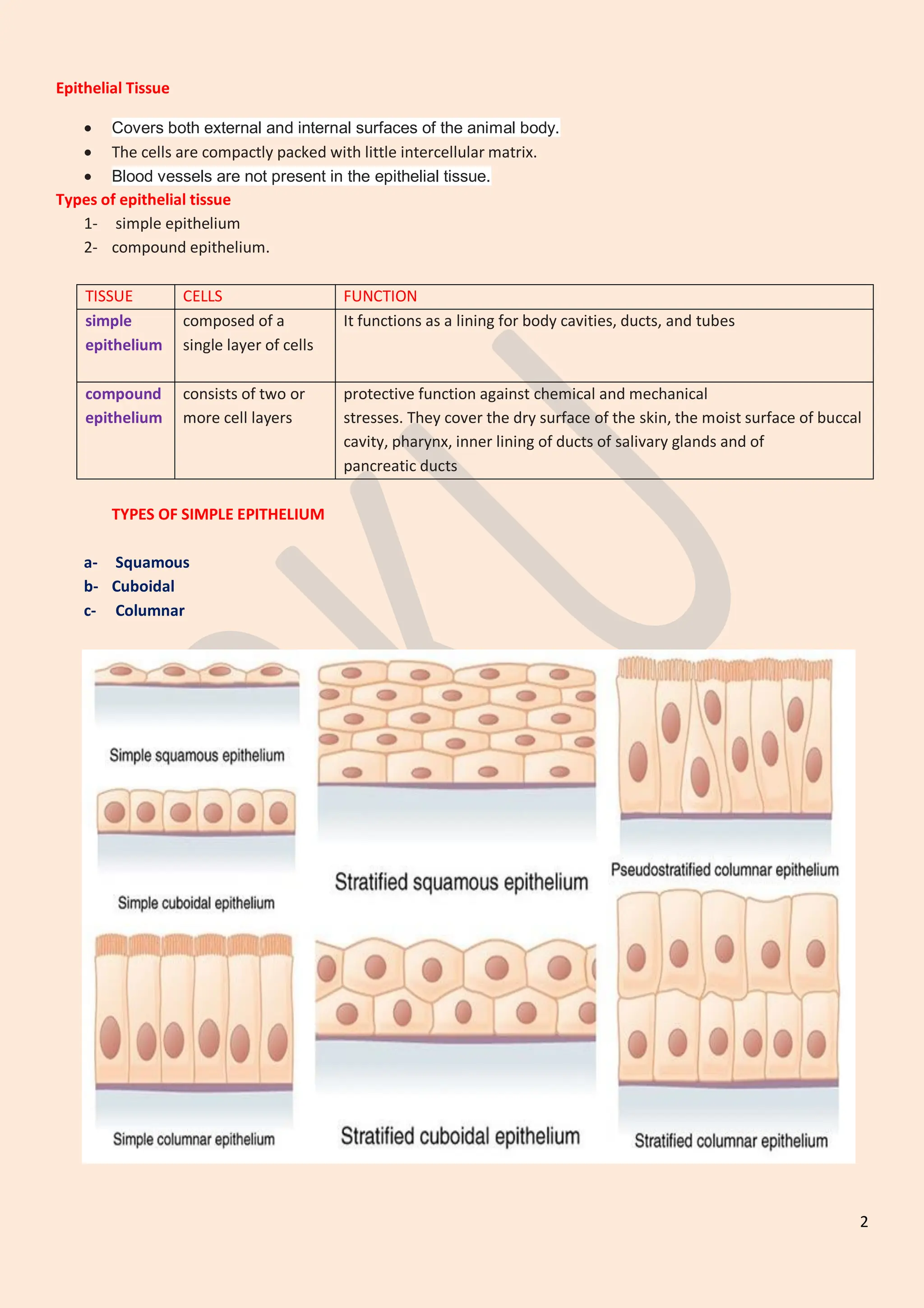 STRUCTURAL ORGANISATION IN ANIMALS TISSUE NOTES.pdf