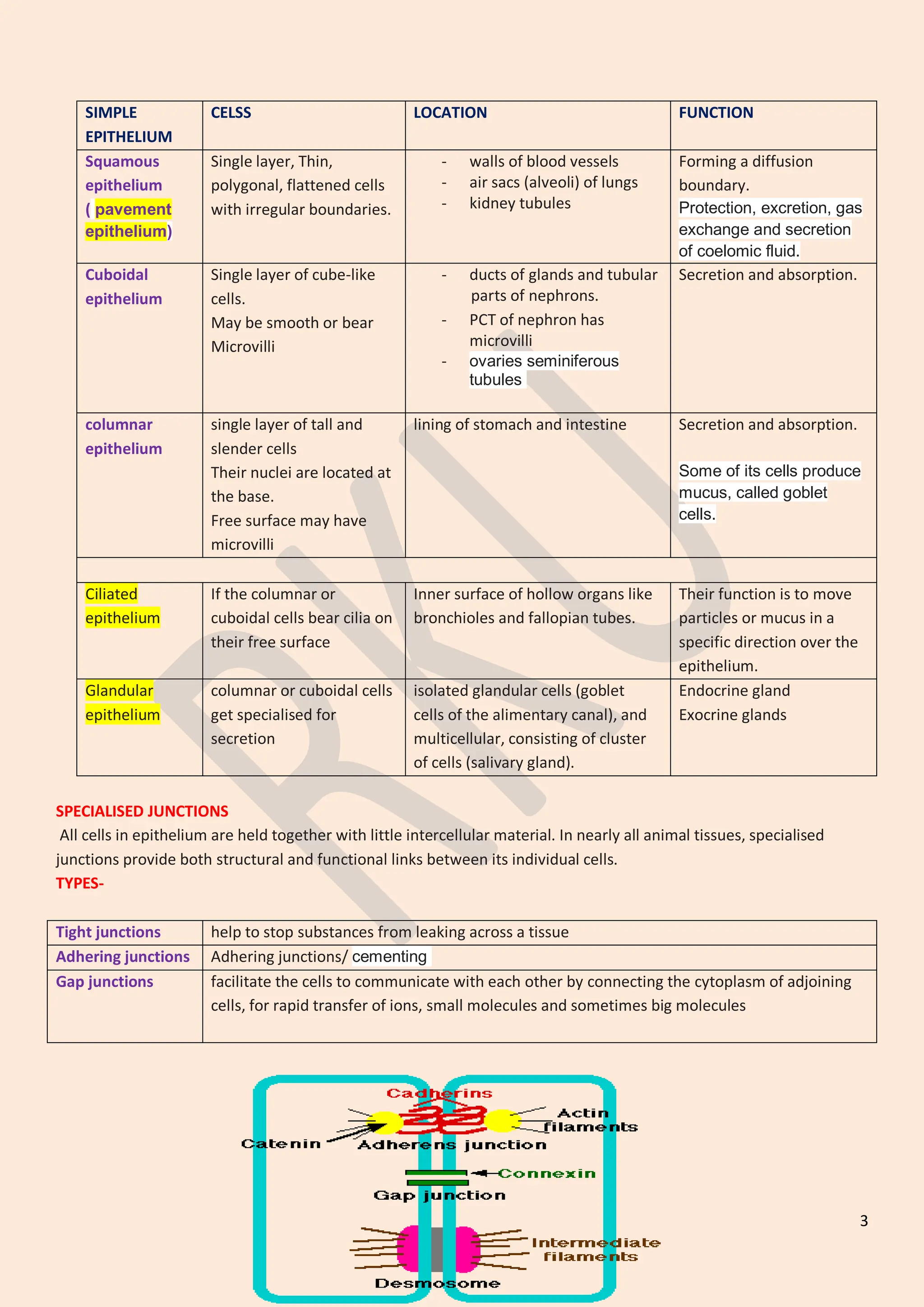 STRUCTURAL ORGANISATION IN ANIMALS TISSUE NOTES.pdf