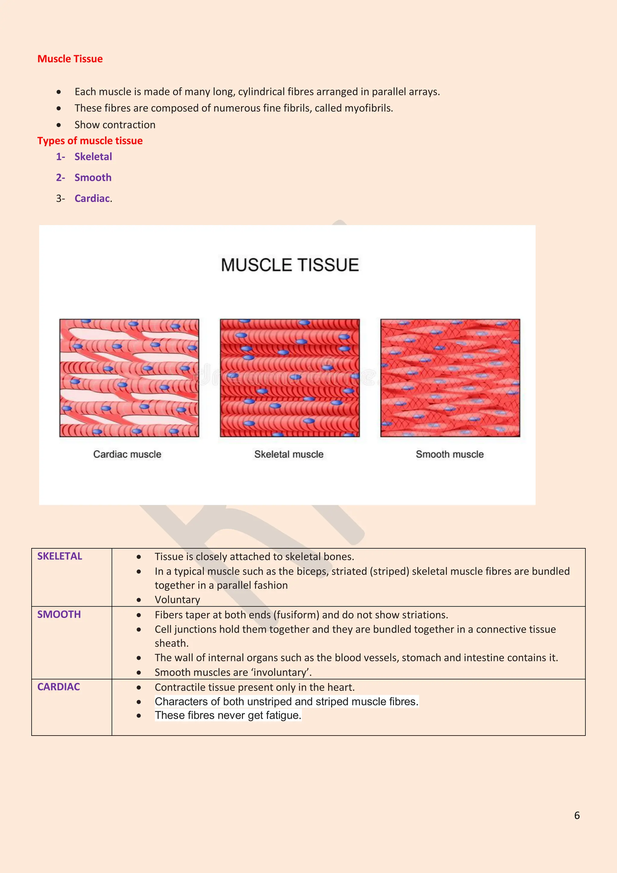 STRUCTURAL ORGANISATION IN ANIMALS TISSUE NOTES.pdf