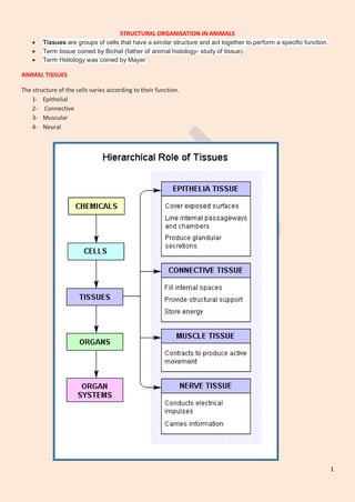 STRUCTURAL ORGANISATION IN ANIMALS TISSUE NOTES.pdf