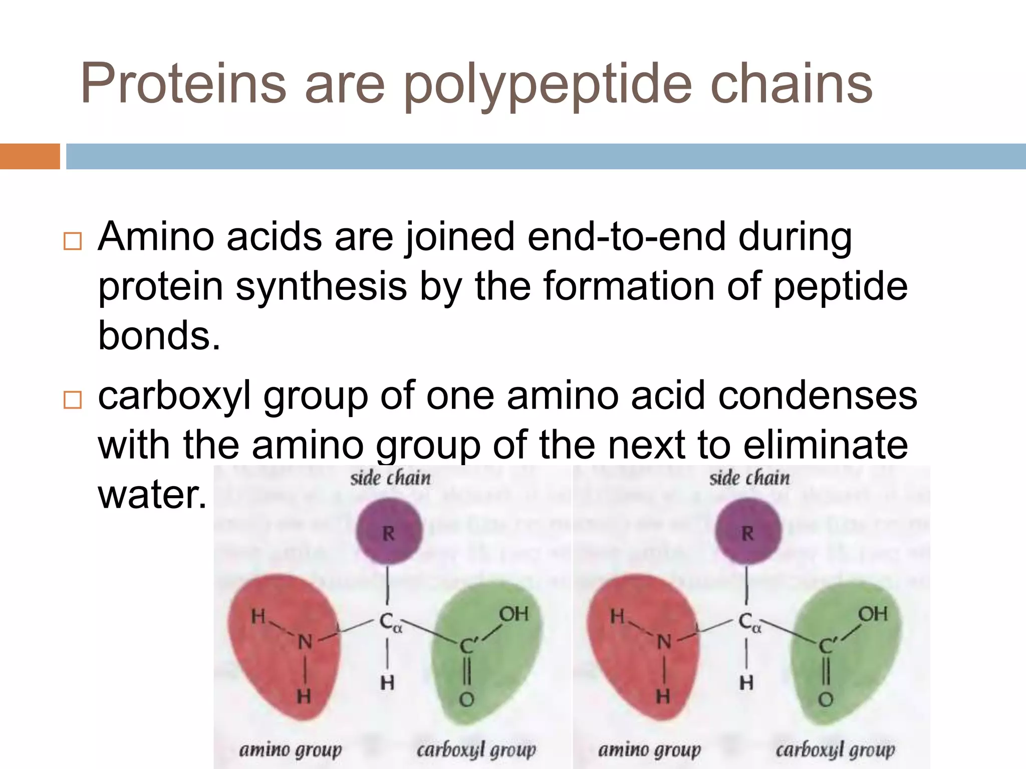 Structural organisation of protiens | PPTX | Chemistry | Science