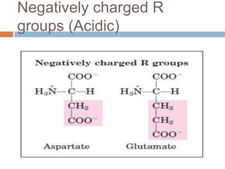 Structural organisation of protiens | PPTX