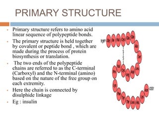 Structural organisation of protiens | PPTX