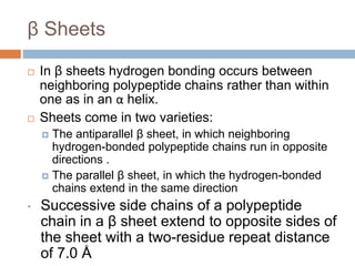 Structural organisation of protiens | PPTX