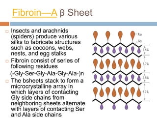 Structural organisation of protiens | PPTX