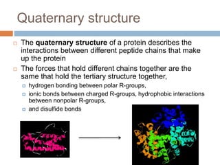 Structural organisation of protiens | PPTX