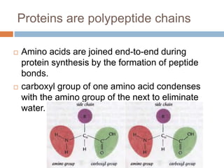 Structural organisation of protiens | PPTX