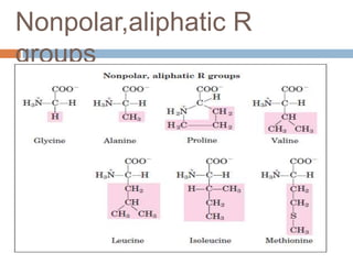 Structural organisation of protiens | PPTX