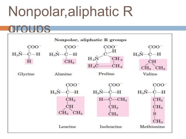 Structural Organisation Of Protiens Pptx Chemistry Science