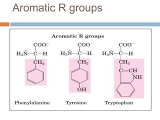 Structural organisation of protiens | PPTX