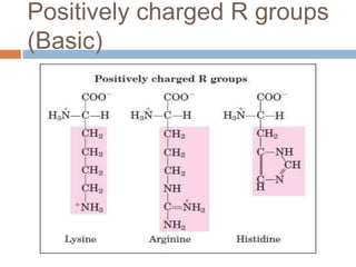 Structural organisation of protiens | PPTX