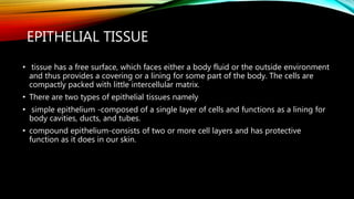 Structural organization in animals | PPTX
