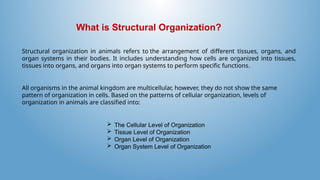 Structural Organization in Animals. Class 11 Biologypptx | PPTX