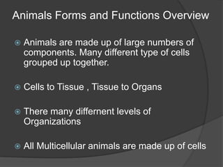 Structural organization of animals | PPTX
