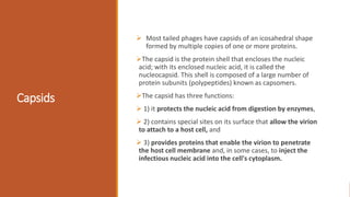 structural organization of bacteriophage.pptx