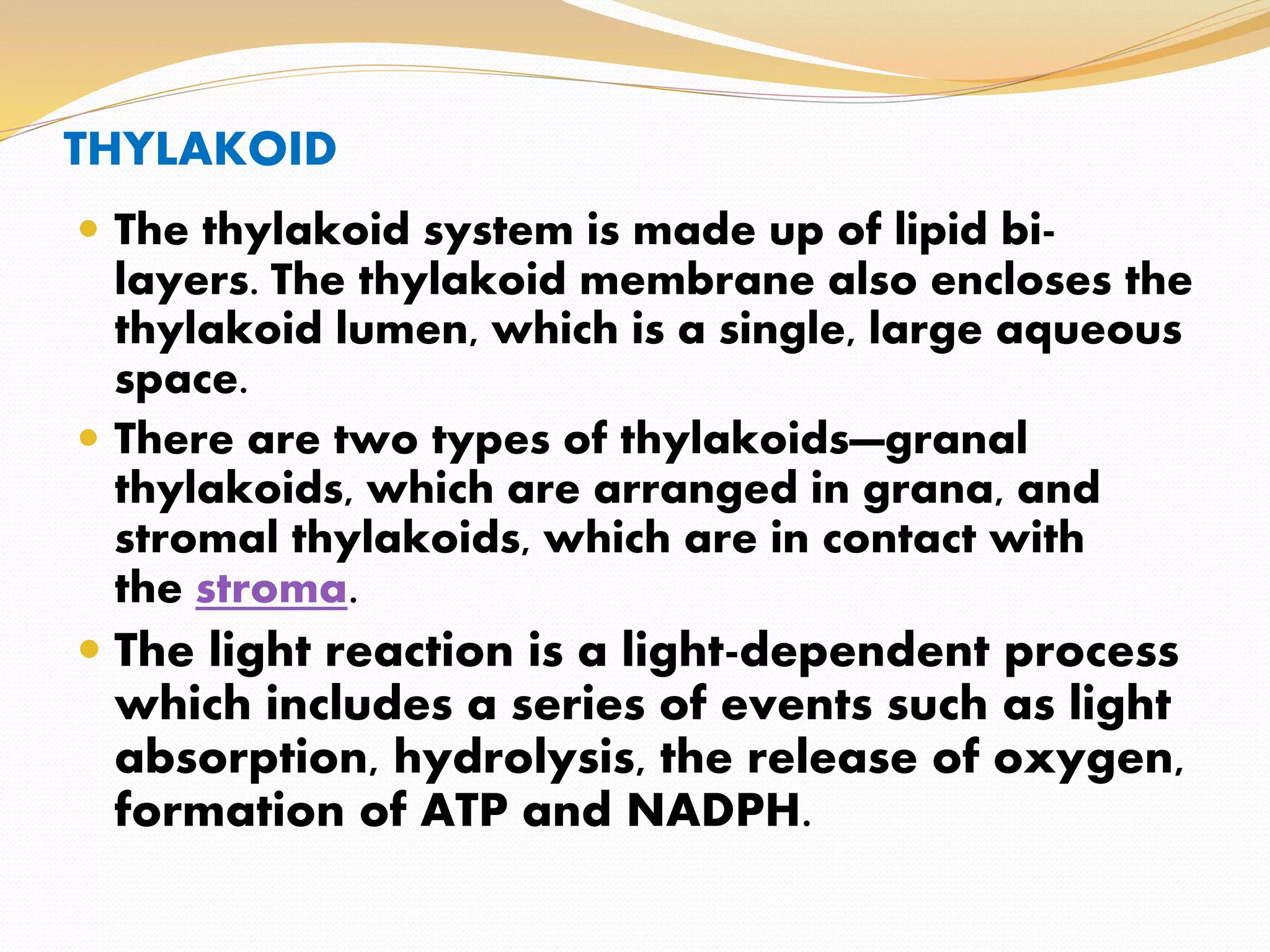 Structural organization of chloroplast | PPTX