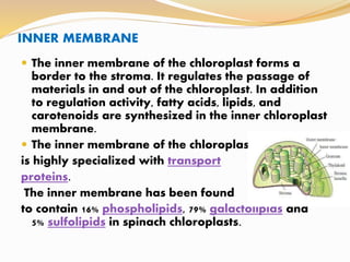 Structural organization of chloroplast | PPTX
