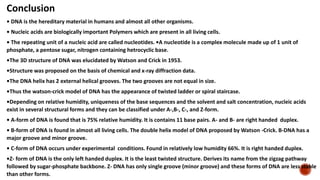 structural organization of dna.pptx