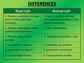 Structural organization of eukaryotic cells 1 (1) | PPTX