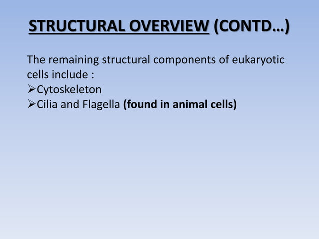 Structural organization of eukaryotic cells 1 (1) | PPTX | Biological ...