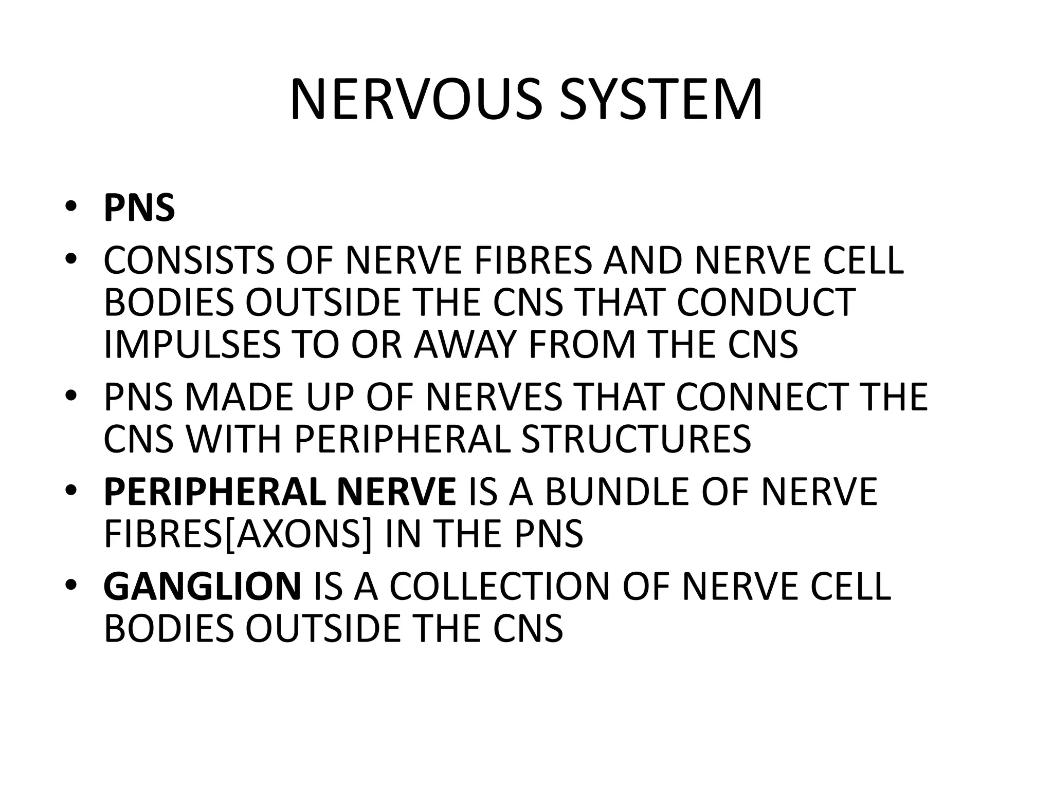 Structural organization of nervous system new | PPTX