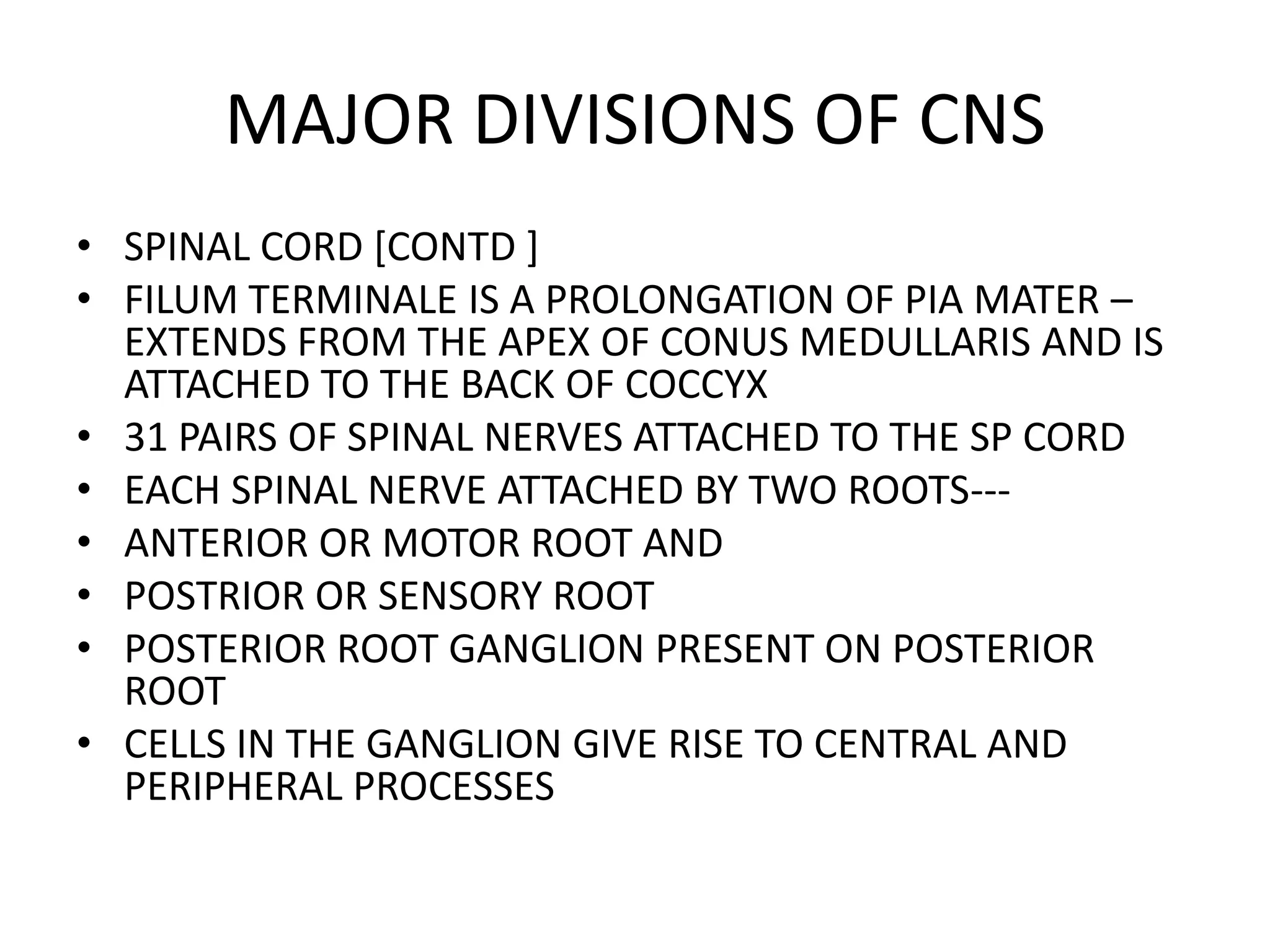 Structural organization of nervous system new | PPTX
