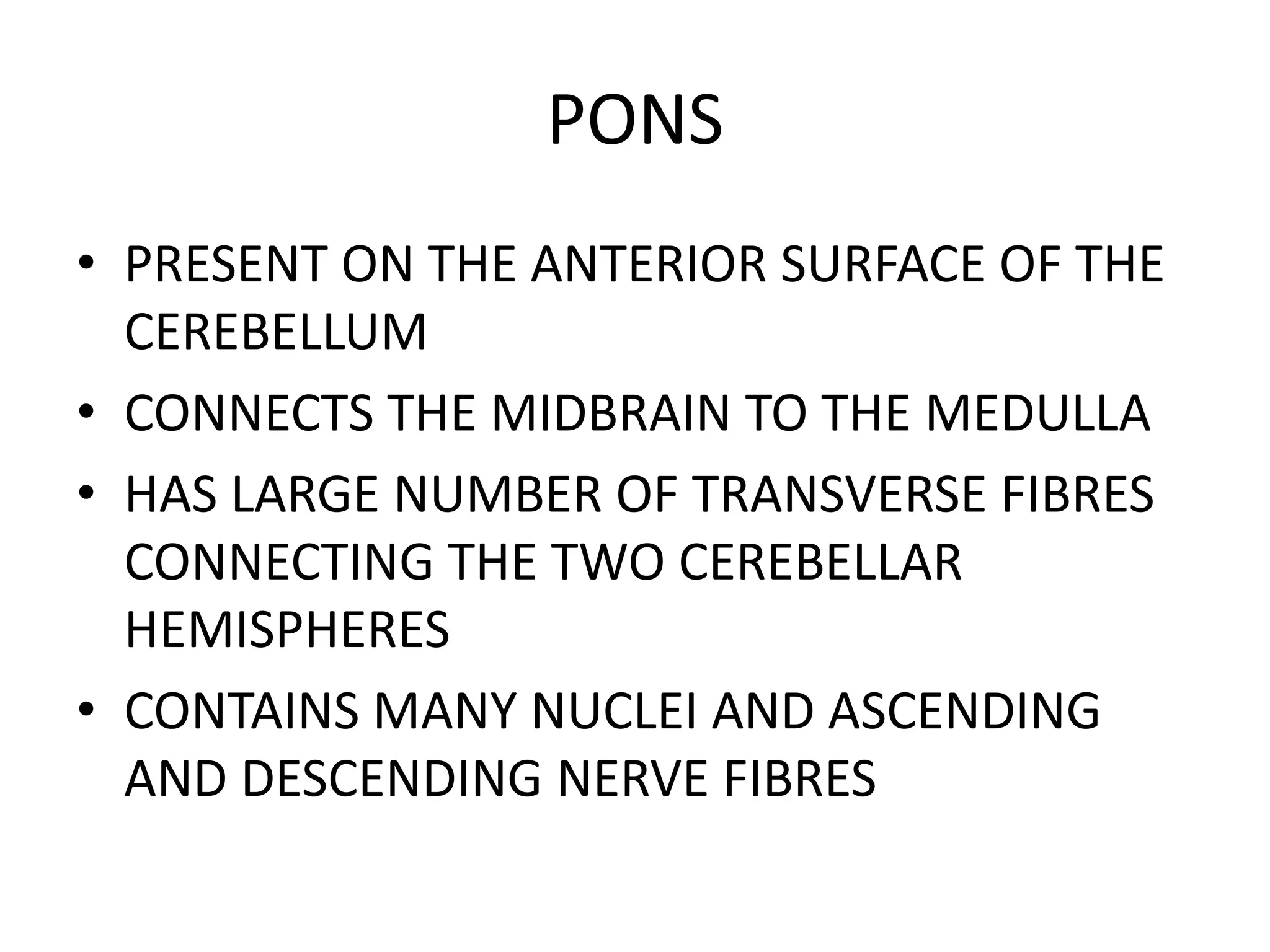 Structural organization of nervous system new | PPTX