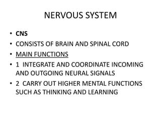 Structural organization of nervous system new | PPTX