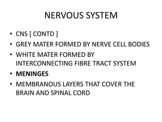 Structural organization of nervous system new | PPTX