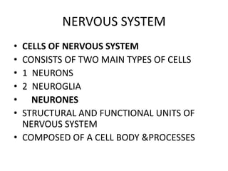 Structural organization of nervous system new | PPTX