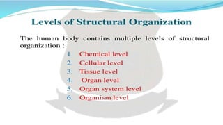 Structural organization of the human body | PPTX