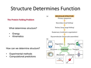 Protein Structural predection | PPT