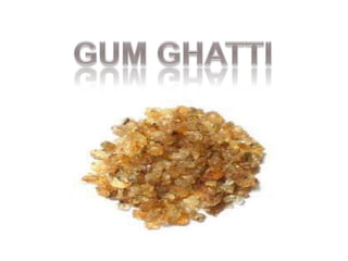 GUM ARABIC, GUM GHATTI, GUM TRAGACANTH | PPTX