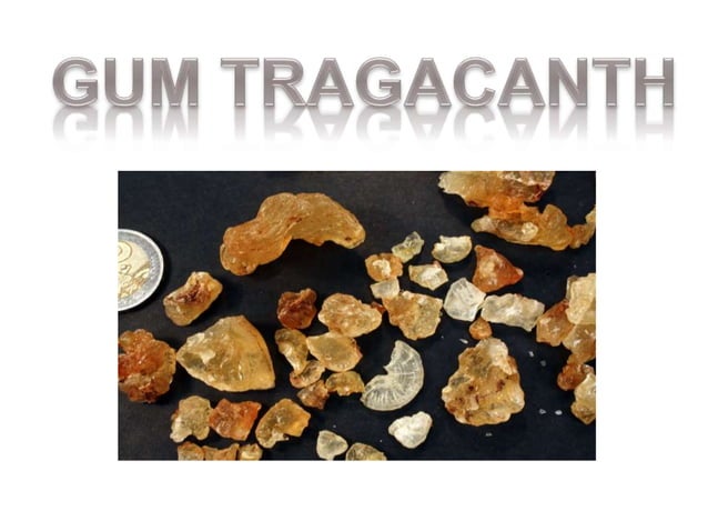 GUM ARABIC, GUM GHATTI, GUM TRAGACANTH | PPTX