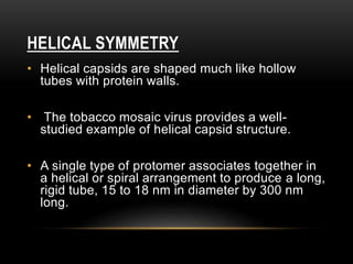 Structural symmetry of viruses | PPTX
