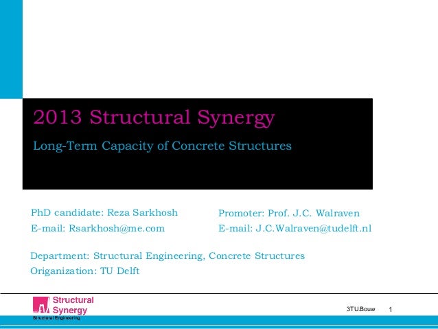 Structural Synergy presentation