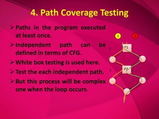 Structural testing | PPTX