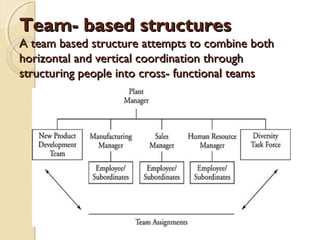 Structural types | PPT