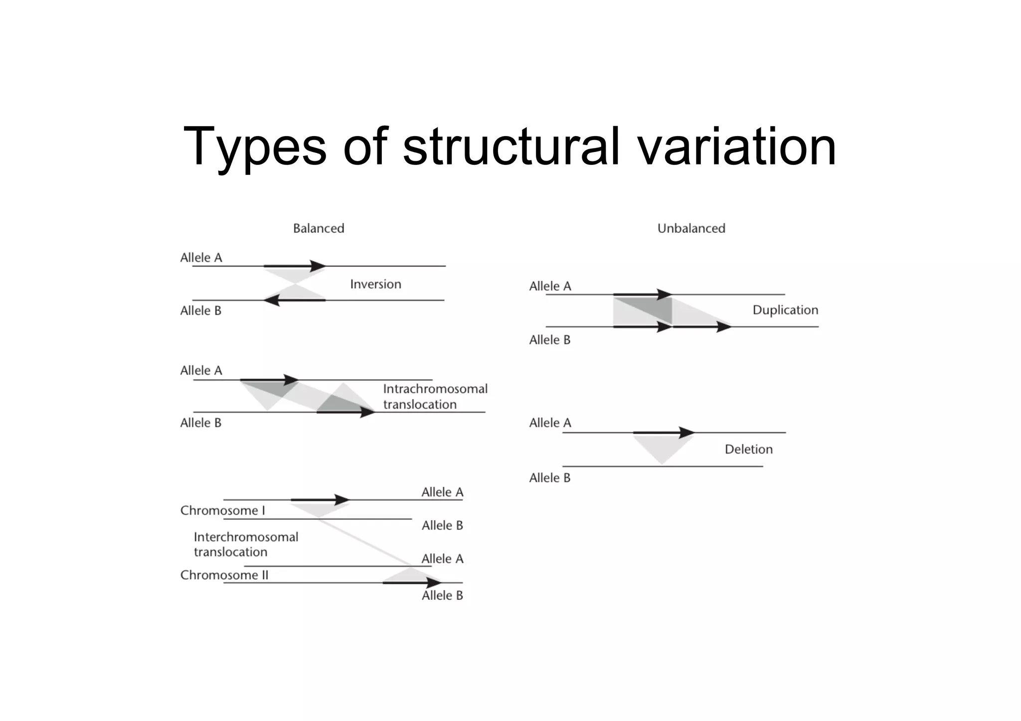 Eccb10 Talk Next Generation Sequencing And Structural Variation Pdf