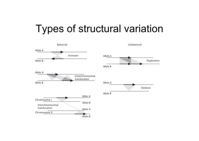 Eccb10 Talk Next Generation Sequencing And Structural Variation Ppt
